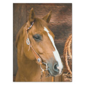 Western Horse Cowboy Hat Lasso Sunflowers Tissue Paper | Zazzle