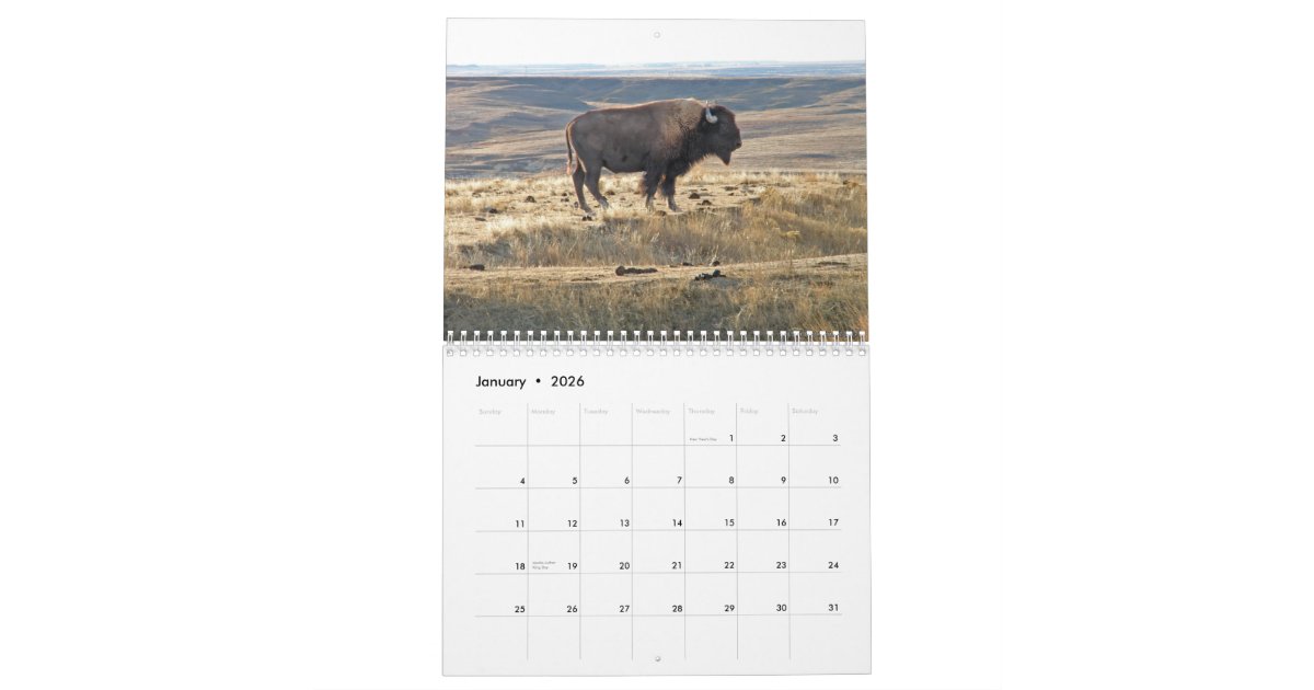 Western Kansas Buffalo Calendar | Zazzle