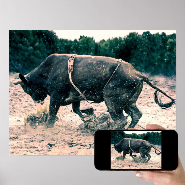 Western Rodeo Black Bull Country Cowboy Rustic Poster | Zazzle
