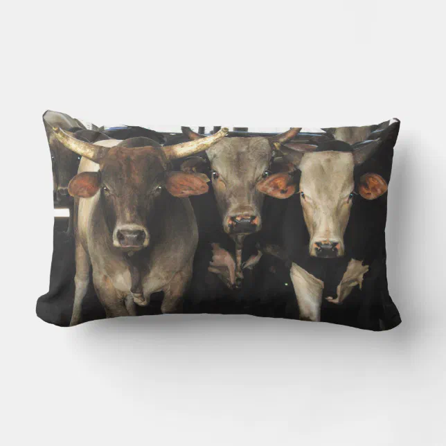 Western Rodeo Bull Cows Cowboy Southwest MoJo Pill Lumbar Pillow | Zazzle