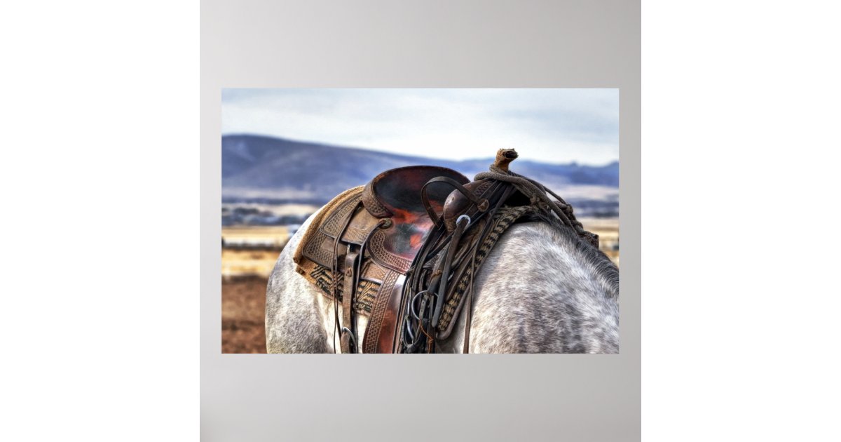 Western saddle on grey horse poster | Zazzle