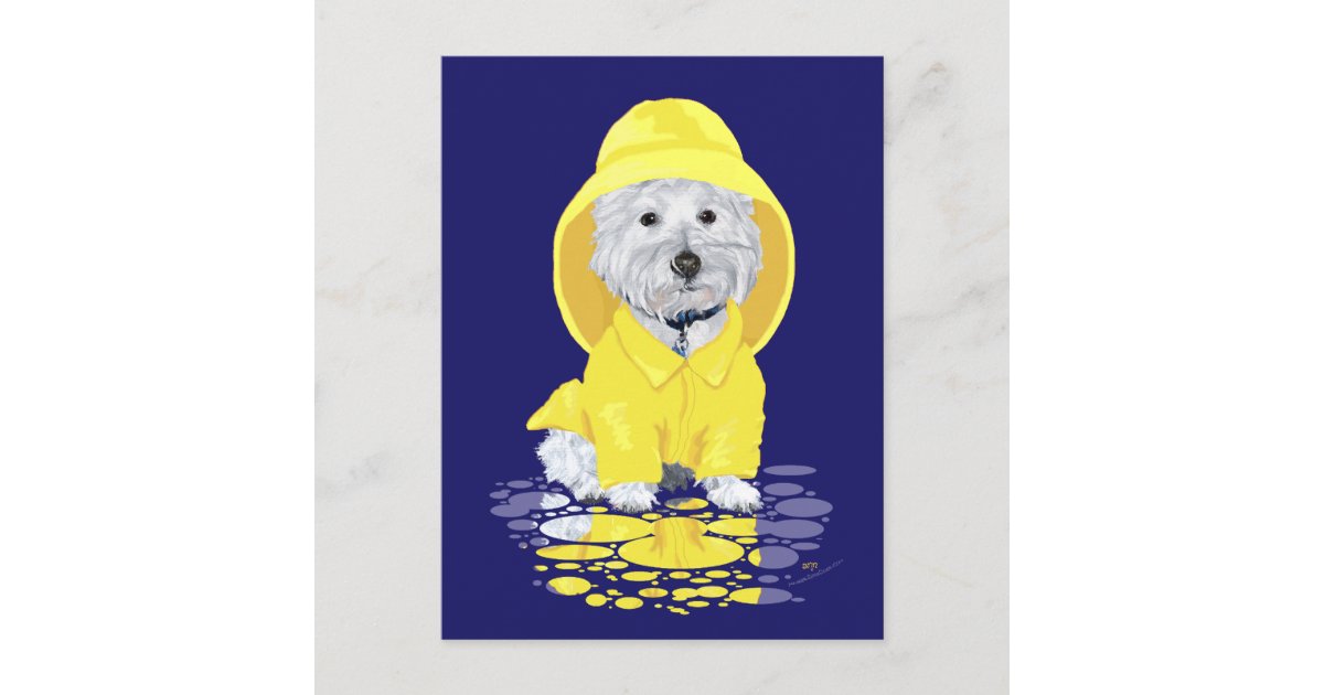 Westie Dog April Showers Postcard | Zazzle
