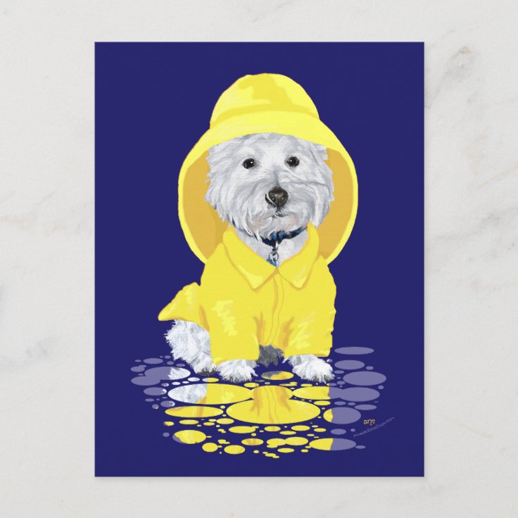 Westie Dog April Showers Postcard | Zazzle
