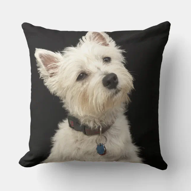 Westie (West Highland terrier) with collar Throw Pillow | Zazzle
