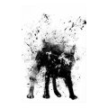 wet dog poster | Zazzle