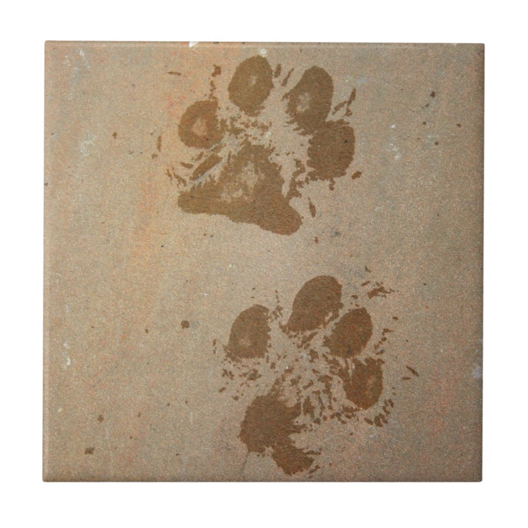 Wet Paw Prints Tile | Zazzle