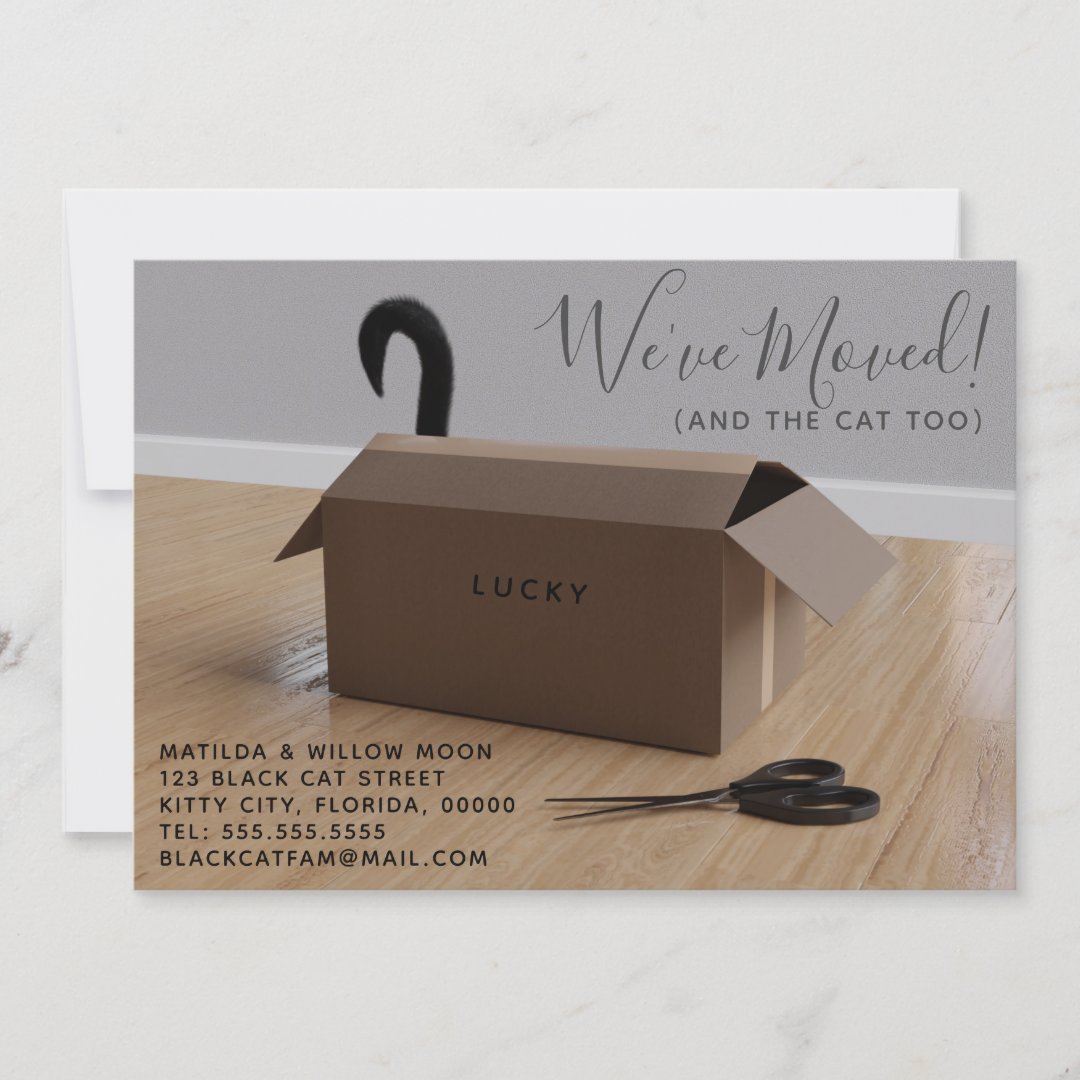 We've Moved Cat in a Box Moving Announcement Card | Zazzle