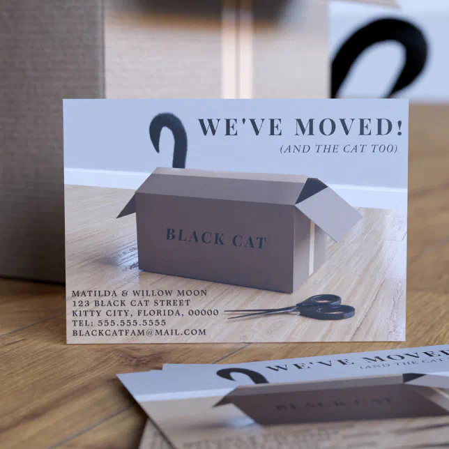 We've Moved Cat in a Box Moving Announcement Card | Zazzle
