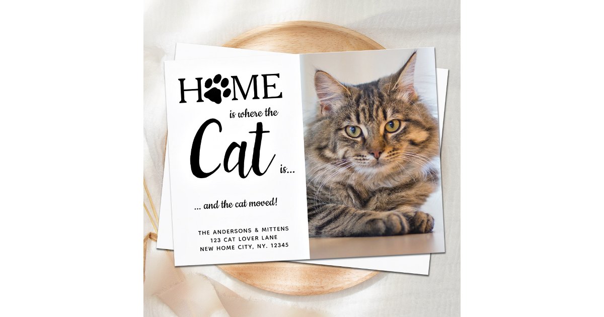 We've Moved Cat Photo New Address Pet Moving Postcard | Zazzle