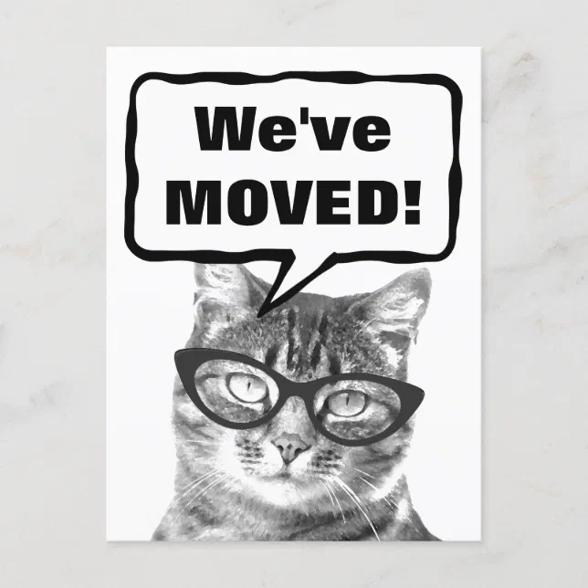 We've moved moving postcards with funny cat | Zazzle
