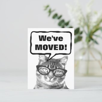 We've moved moving postcards with funny cat | Zazzle
