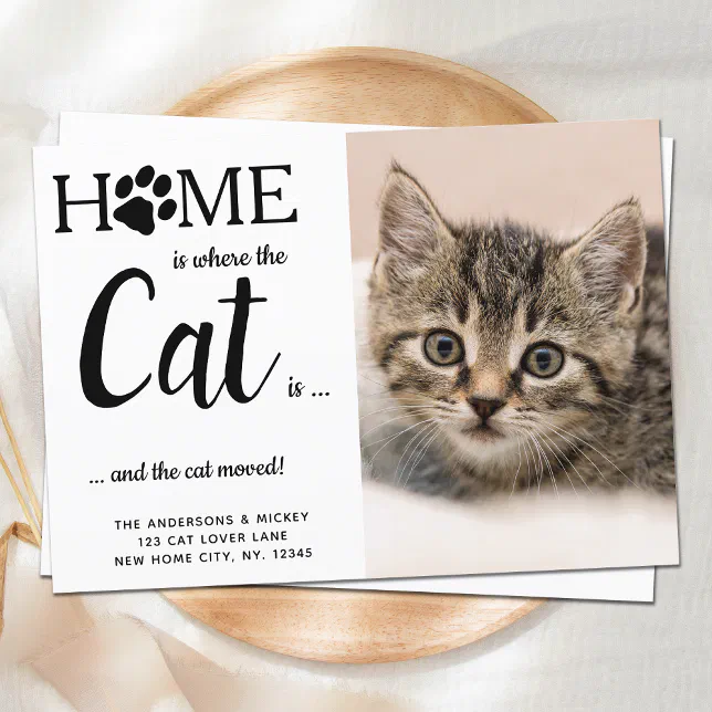 We've Moved My Cat & I Custom Photo Pet Moving Announcement | Zazzle