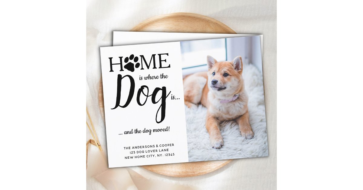 We've Moved New Address Pet Photo Dog Moving Postcard | Zazzle
