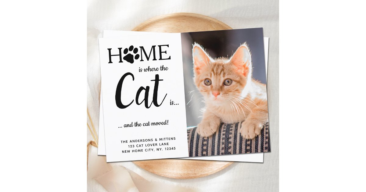 We've Moved Pet Photo New Address Cat Moving Announcement Postcard | Zazzle