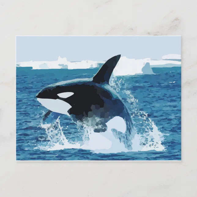 Whale Orca Water Animal Sea Ocean Fish Peace Love Postcard | Zazzle
