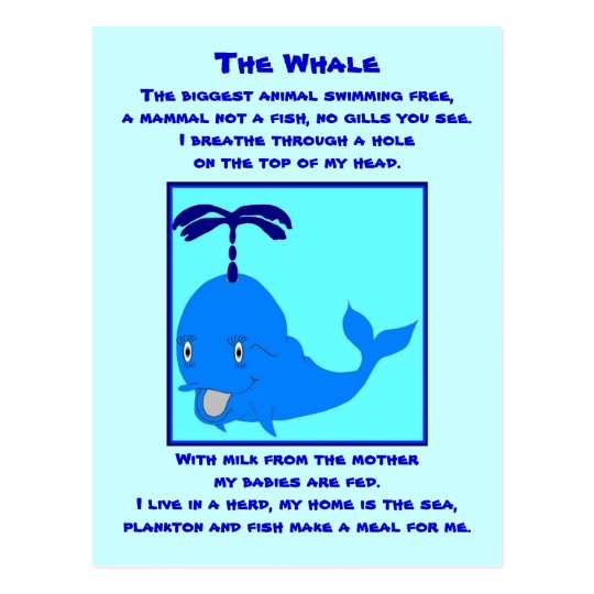 Whale poem postcard | Zazzle.com