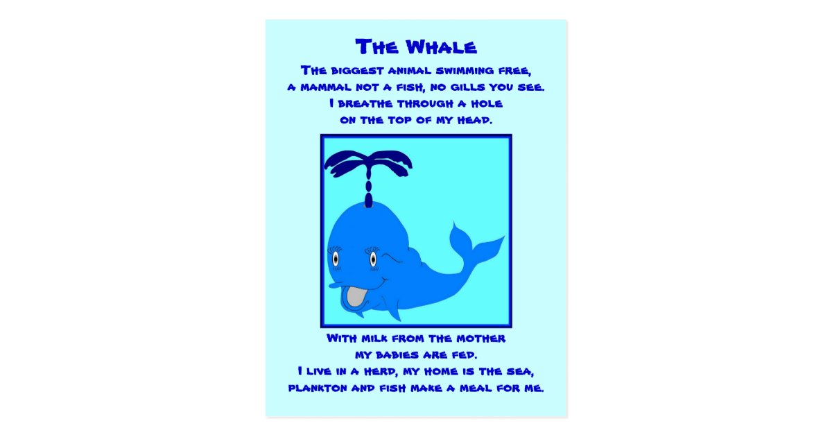 Whale poem postcard | Zazzle.com