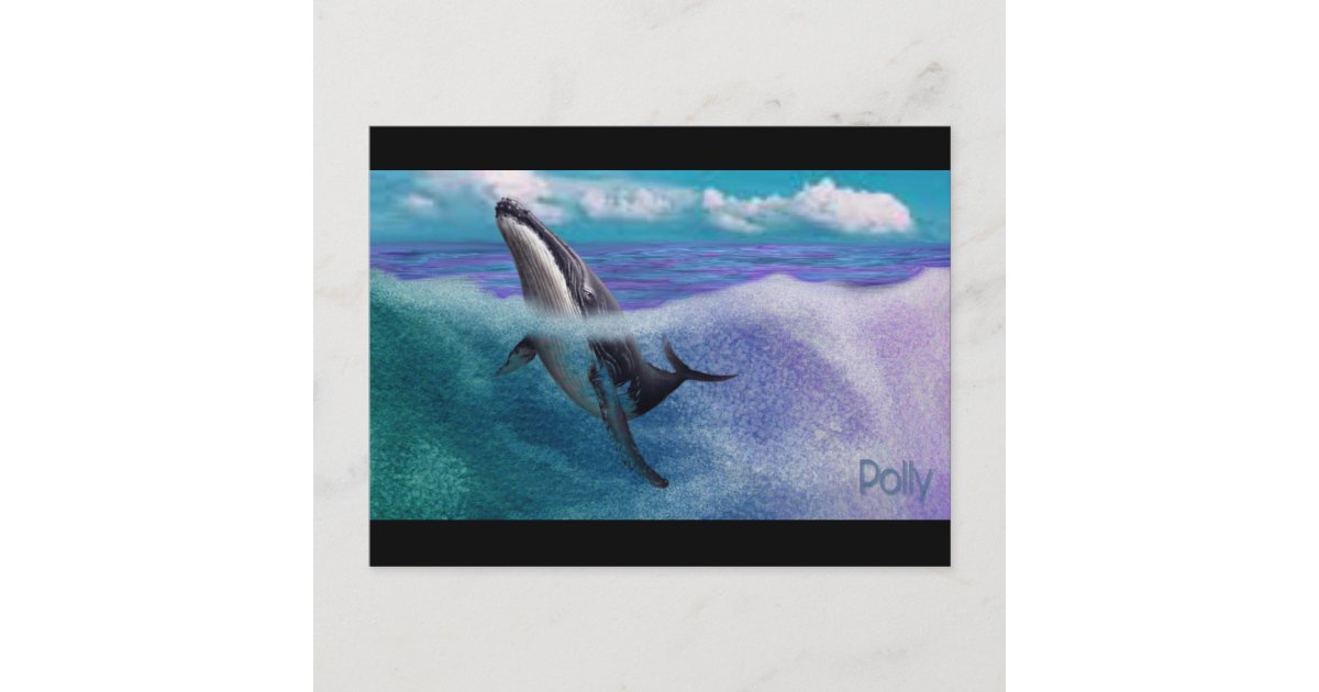 Whale Postcard | Zazzle