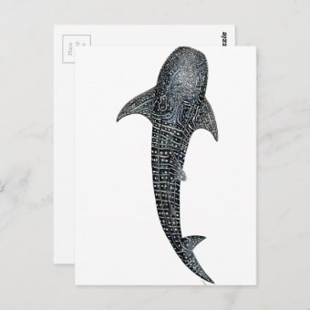 Whale shark postcard | Zazzle