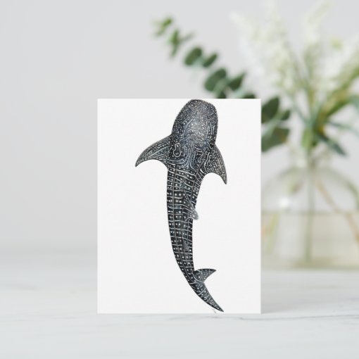 Whale shark postcard | Zazzle