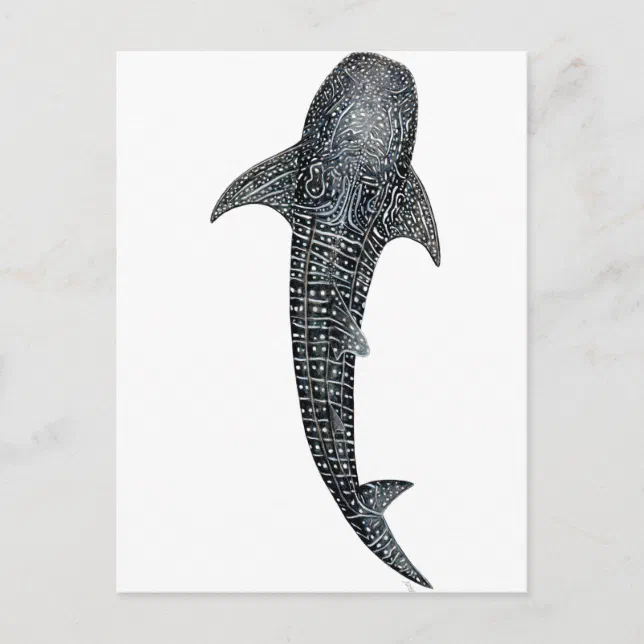 Whale shark postcard | Zazzle
