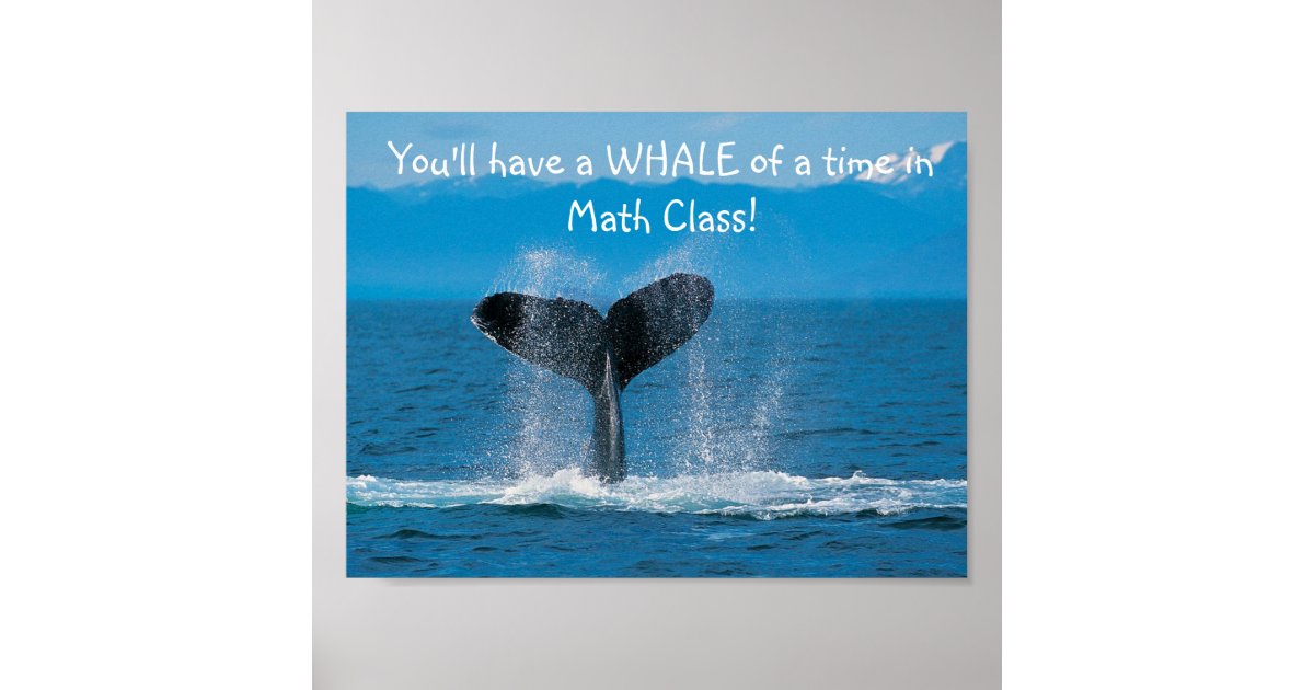 WhaleMath Poster | Zazzle