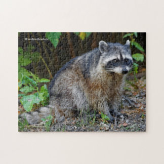 Raccoon Jigsaw Puzzles | Zazzle