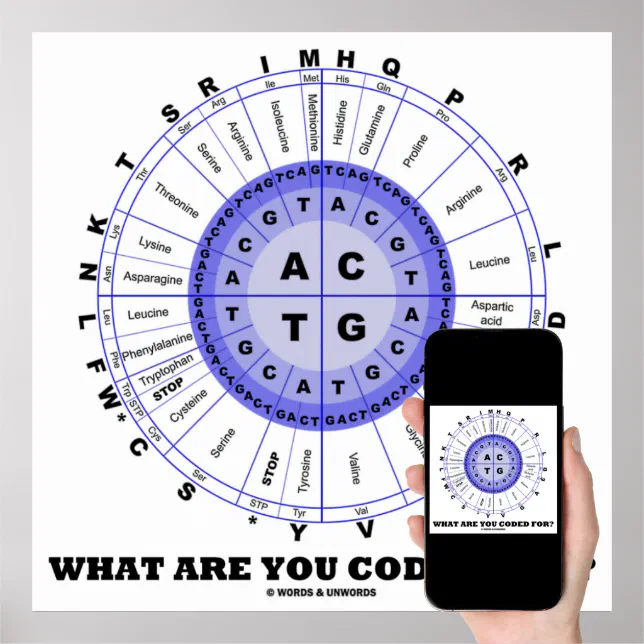 What Are You Coded For? (Amino Acid Wheel) Poster | Zazzle