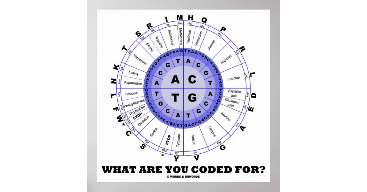 What Are You Coded For? (Amino Acid Wheel) Poster | Zazzle