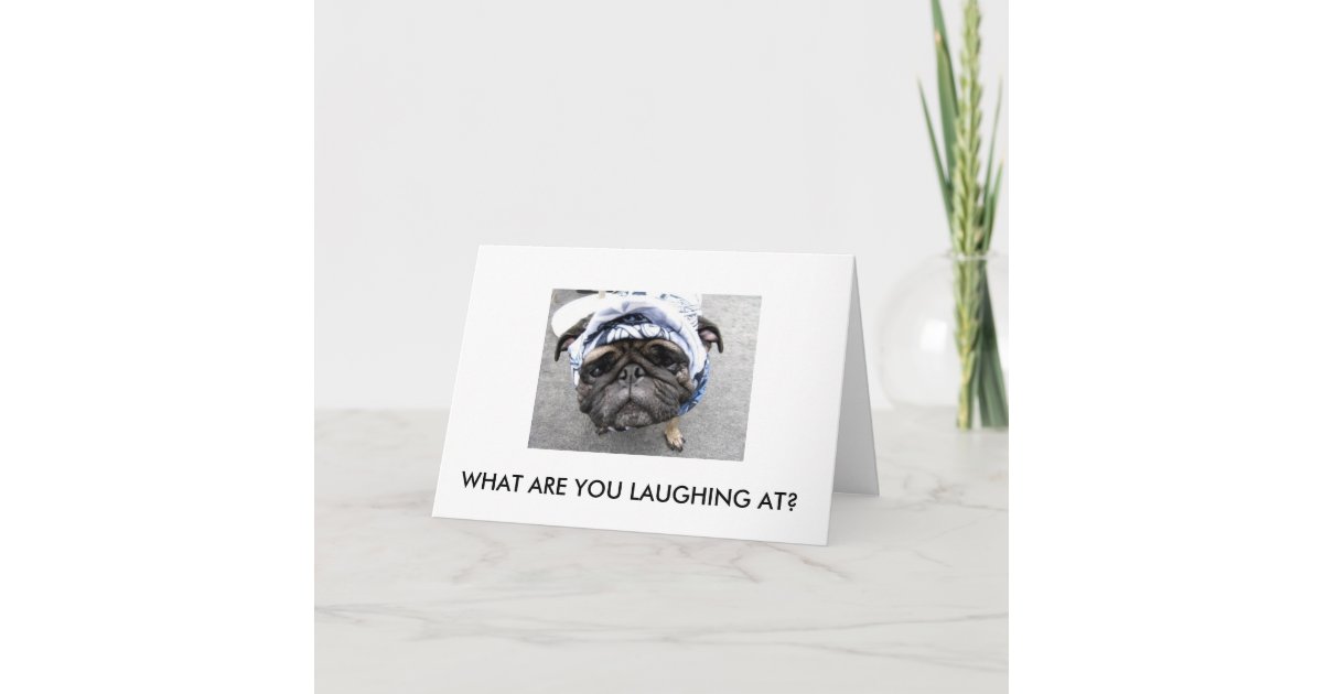 WHAT ARE YOU LAUGHING AT? CARD | Zazzle