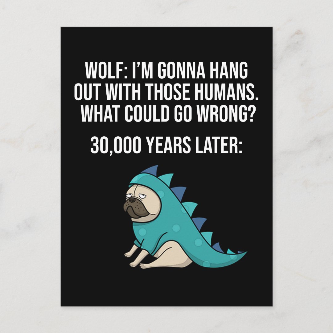 What Could Go Wrong Funny Wolf Pug Dog Meme Postcard | Zazzle
