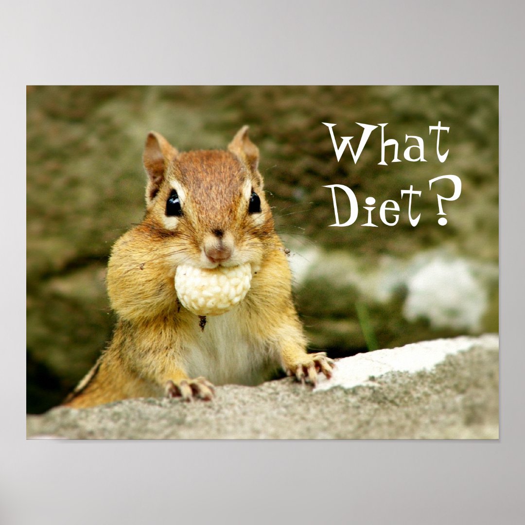 What Diet? Chipmunk Poster | Zazzle