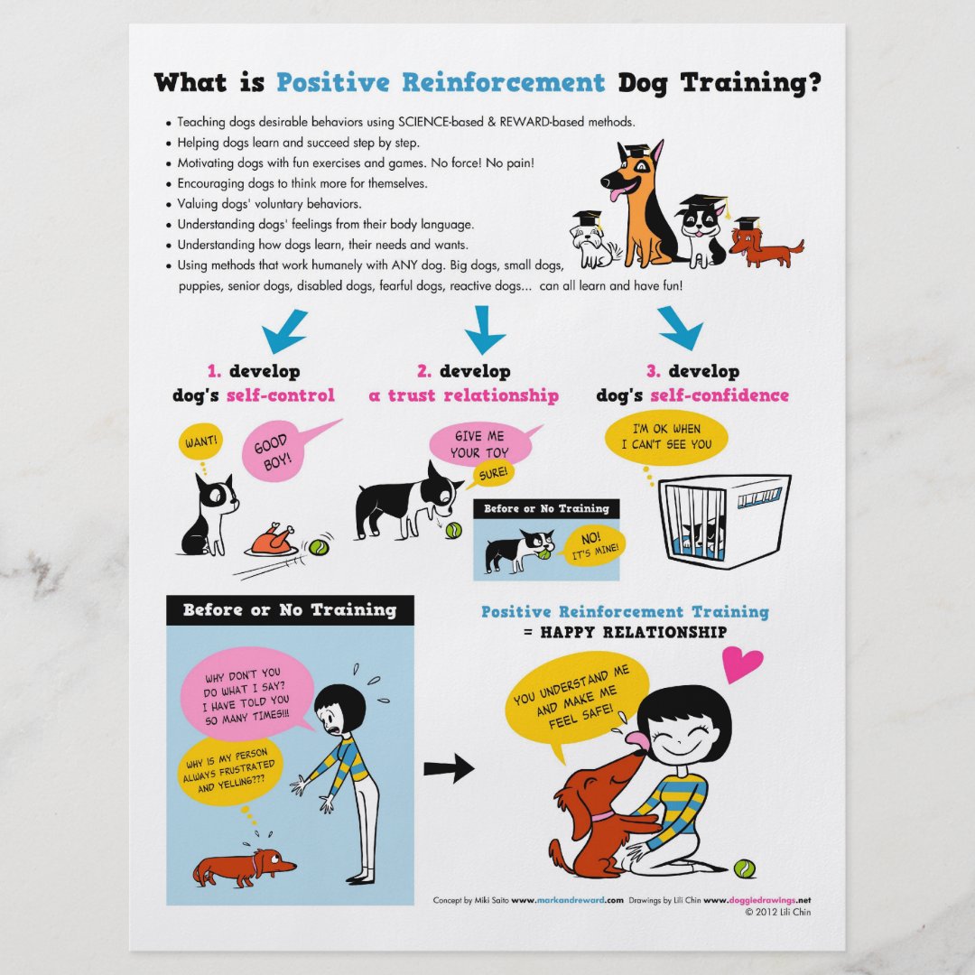 What is Pos Reinf. Dog Training? FLYERS | Zazzle