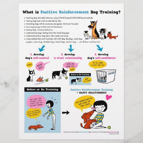 DOGGIE POSTERS by Lili Chin: Designs & Collections on Zazzle
