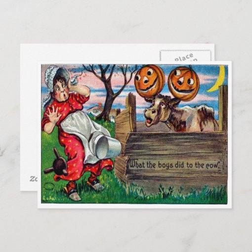 What The Boys Did To The Cows Postcard | Zazzle