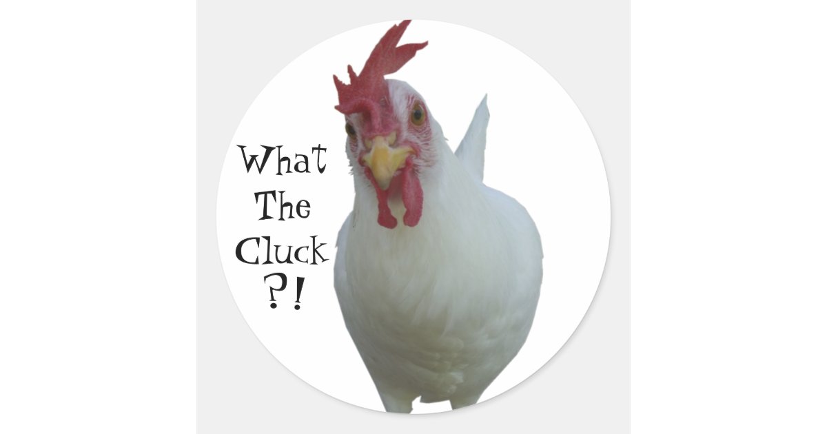 What The Cluck?! Classic Round Sticker | Zazzle