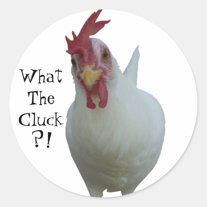 What The Cluck?! Classic Round Sticker | Zazzle.com