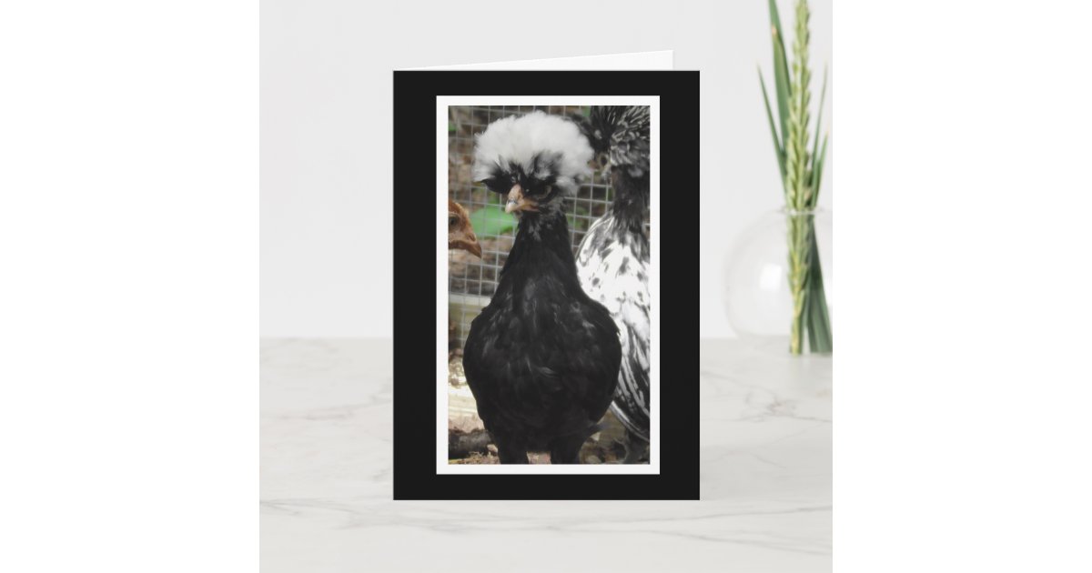 What the Cluck is Happening Funny Chicken Pun Card | Zazzle