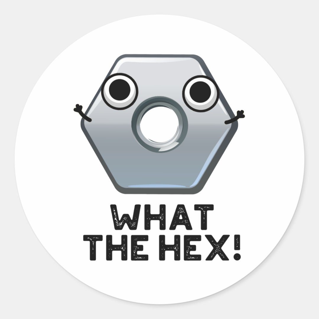 What The Hex Funny Hexagon Shape Pun Classic Round Sticker | Zazzle