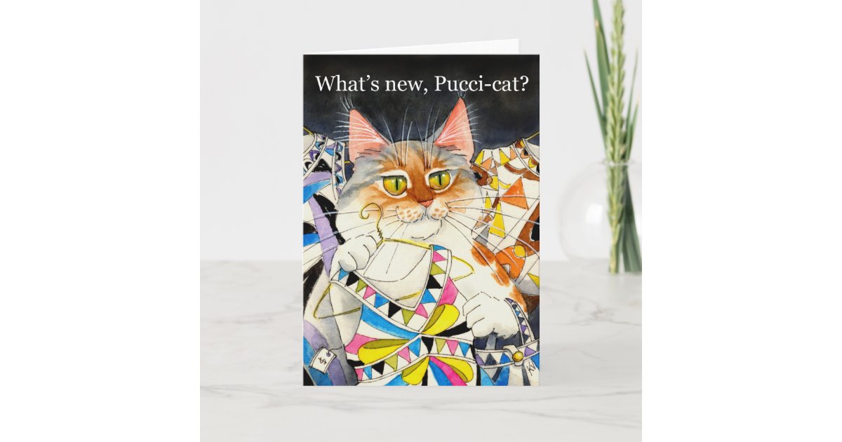 What's new Pucci-cat? Card | Zazzle