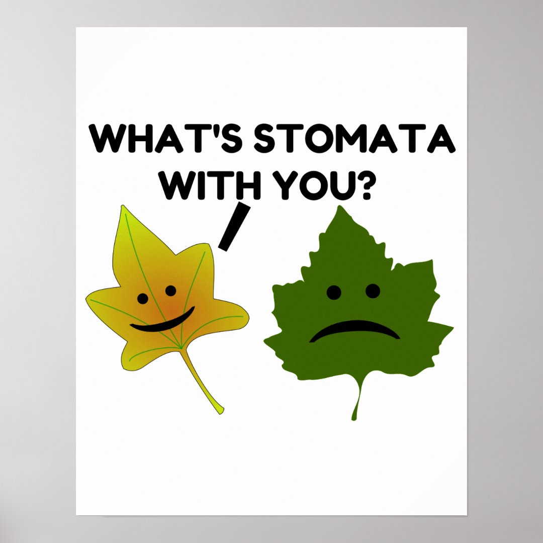 What's Stomata With You Poster | Zazzle