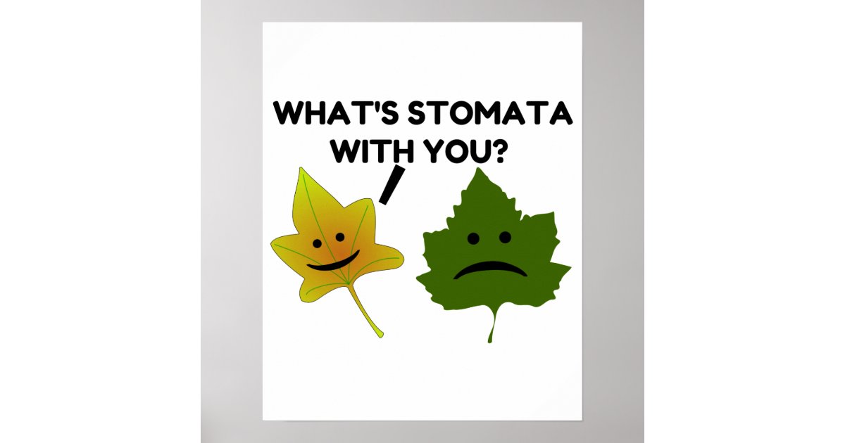 What's Stomata With You Poster | Zazzle