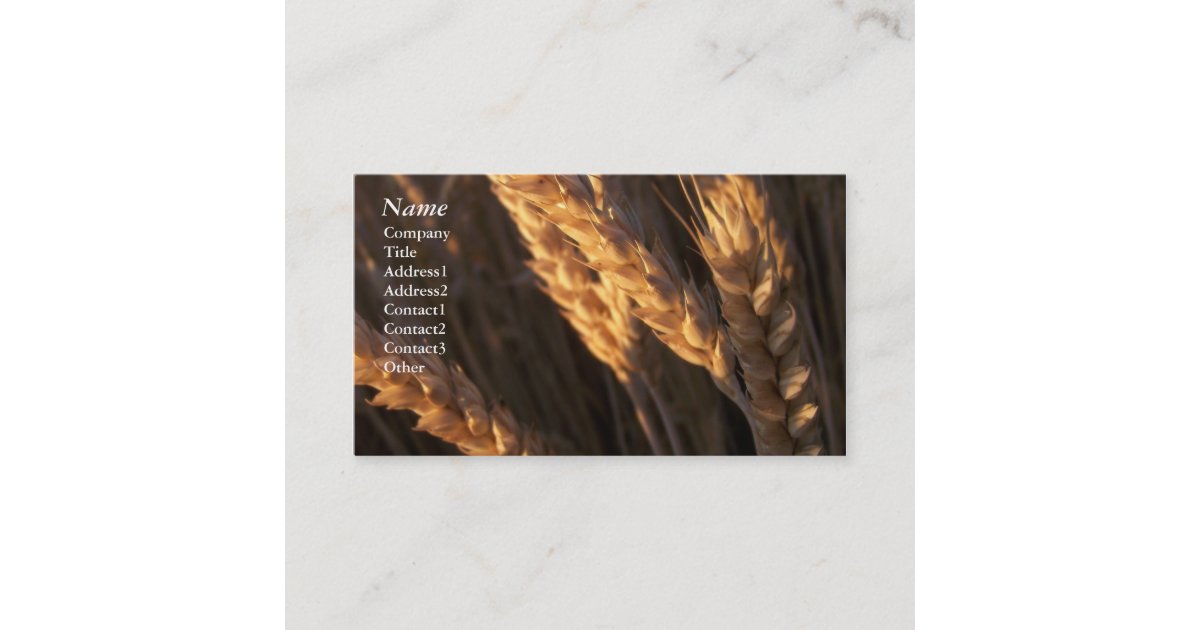 Wheat Field - Business Cards | Zazzle