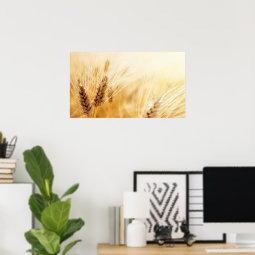 Wheat field poster | Zazzle