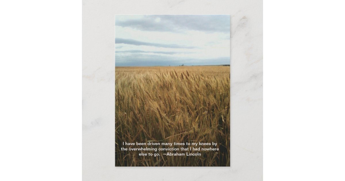 wheat field prayer postcard | Zazzle