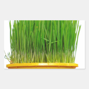 Wheat Stickers | Zazzle
