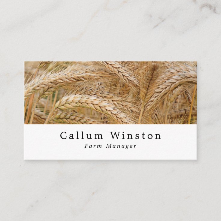 Wheat in Field, Farmer & Butcher Business Card | Zazzle