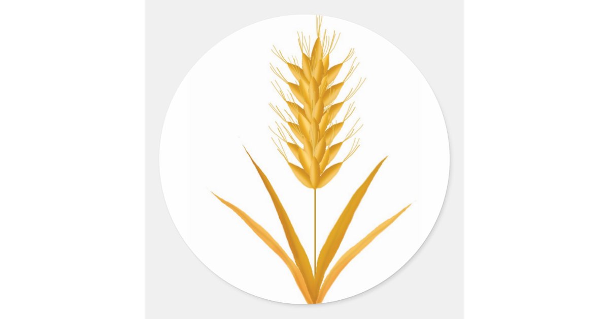 Wheat Sticker | Zazzle