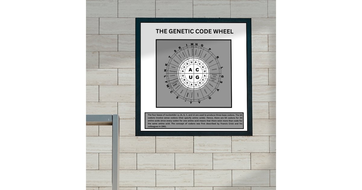 Wheel of genetic code poster | Zazzle