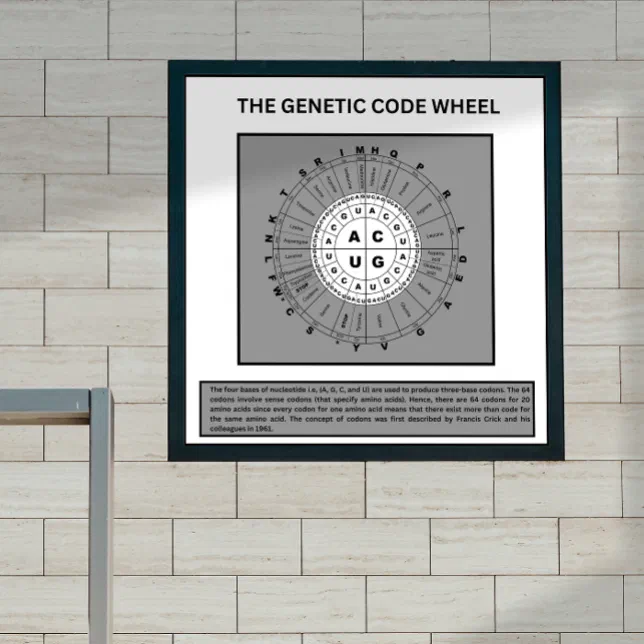 Wheel of genetic code poster | Zazzle